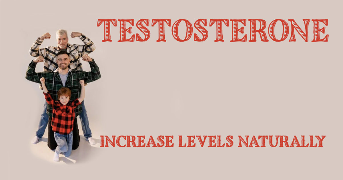 Testosterone ~ Increase Levels Naturally – Evergreen Nutrition