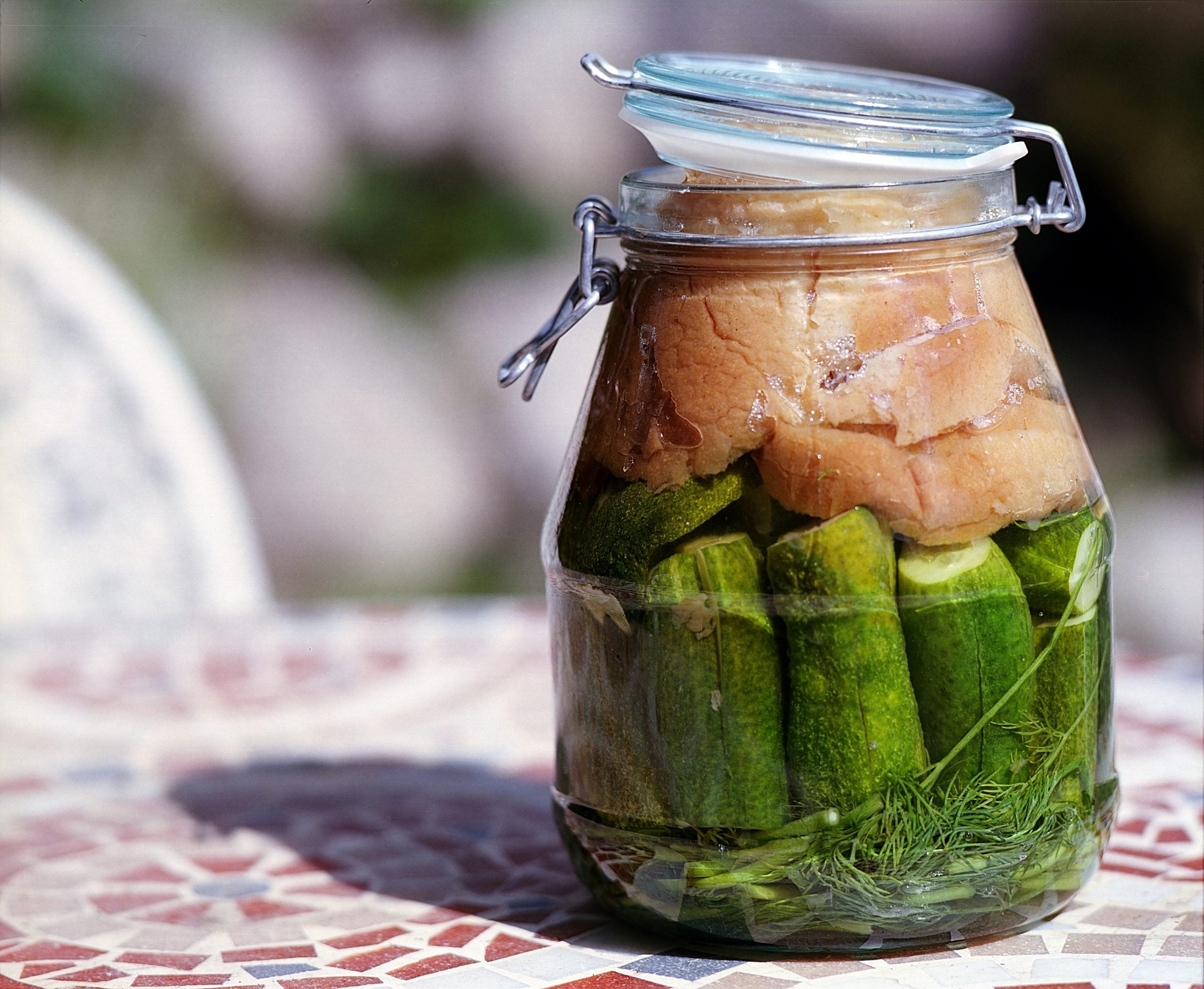 Fermented Foods & Herbs – Evergreen Nutrition